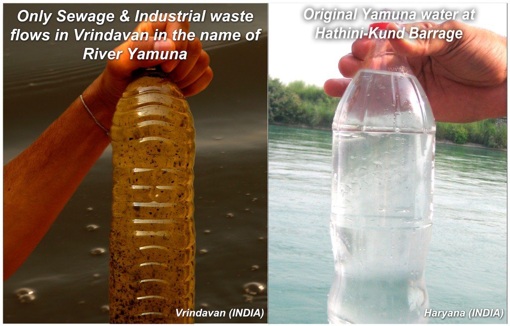 Save Yamuna Save Braj | ...lets bring Yamuna back to braj again
